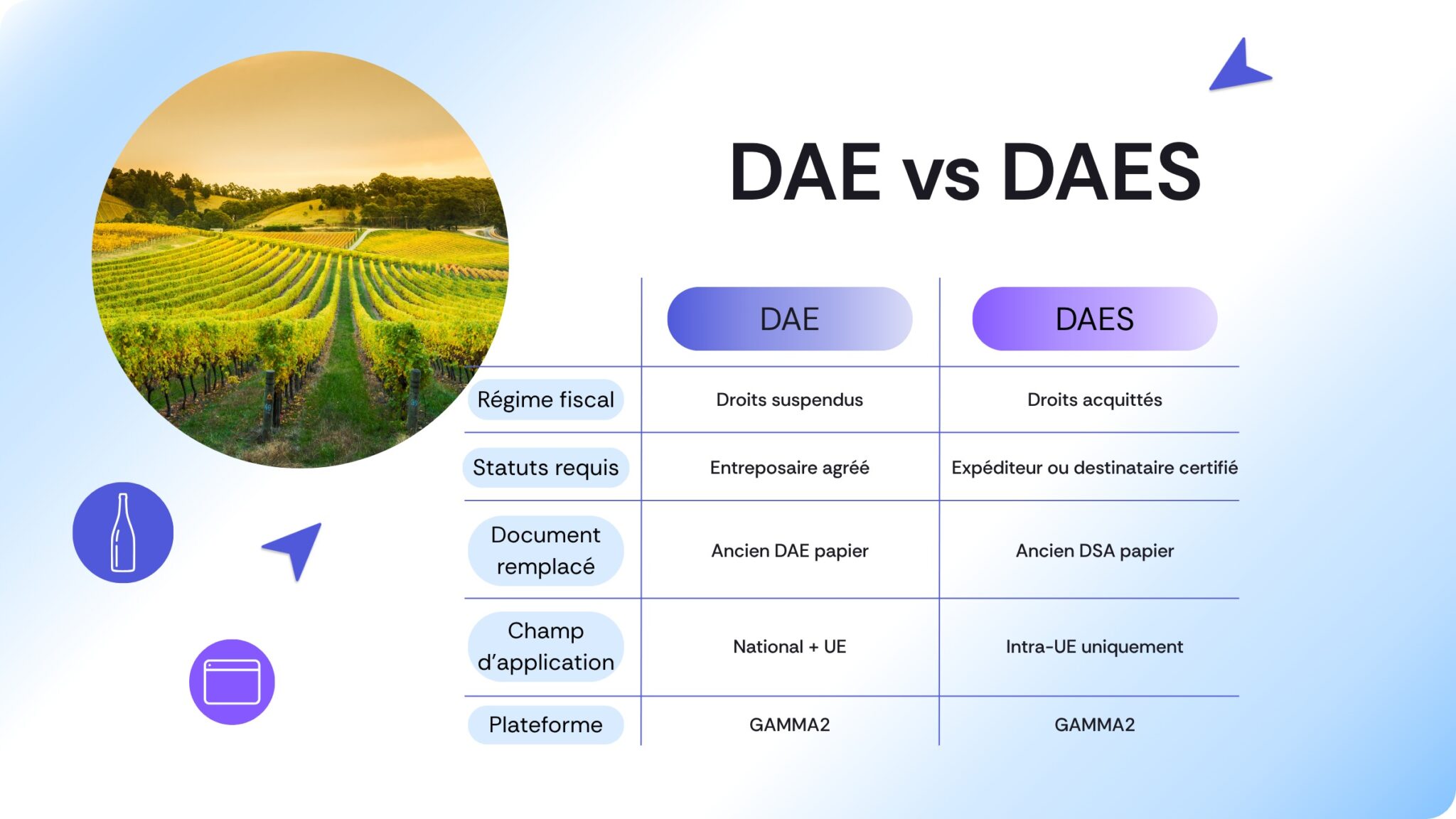 DAE / DAES : guide complet des formalités douanières du vin - Wineriz